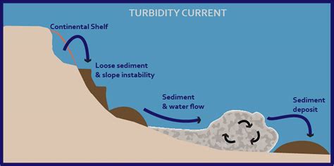 Turbidity Currents And Their Effects On Subsea Fibre