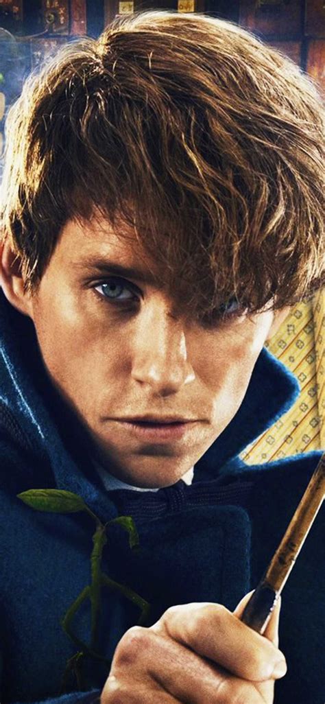Harry Potter And Newt Scamander Artofit