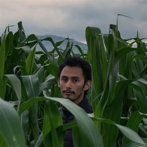 Aarton Aarton Abillion