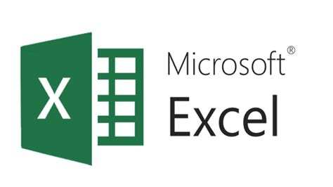 Unveiling Microsoft Office Excel Exploring Its Software Identity