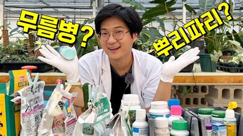 이 영상 하나로 끝💥 뿌리파리 응애 온실가루이 흰가루병 무름병 등등 농약의 모든 것 Youtube