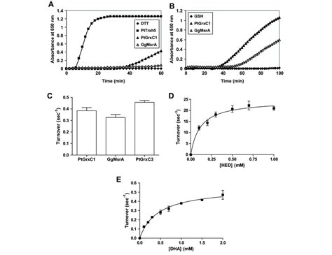 Reductase Activity Of The Ggmsra Glutaredoxin Domains Insulin