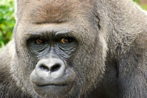 Saint We Are Saddened To Announce That Juma Our 27 Year Old