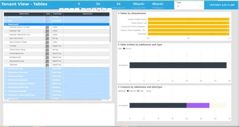 Power Bi Metadata Scanner Tridant