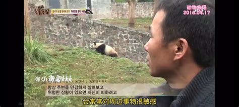 財閥公主福寶一家與姜爺爺的故事！被姜爺爺治癒的愛寶有多可愛！ 資訊咖