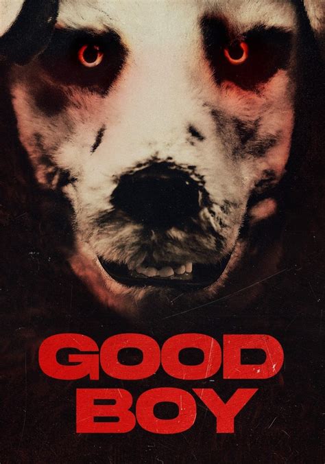 Good Boy Streaming Where To Watch Movie Online