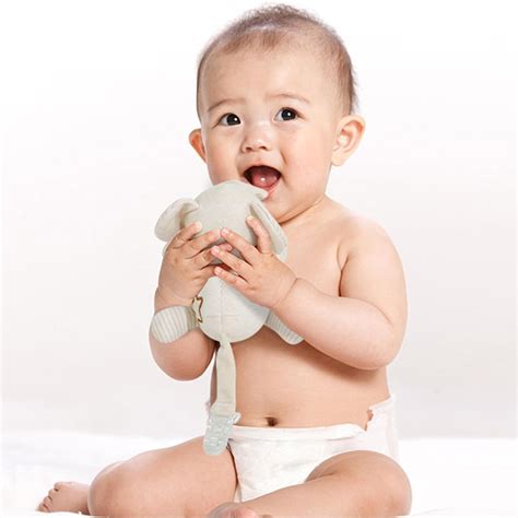 Virtcooy Pacifier Buddy Plush Elephant Pacifier Holder For 0 6 Months