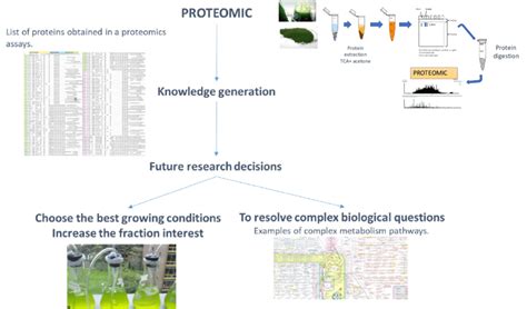 Schematic Workflow Of Proteomics Information Obtained And Some Of Its