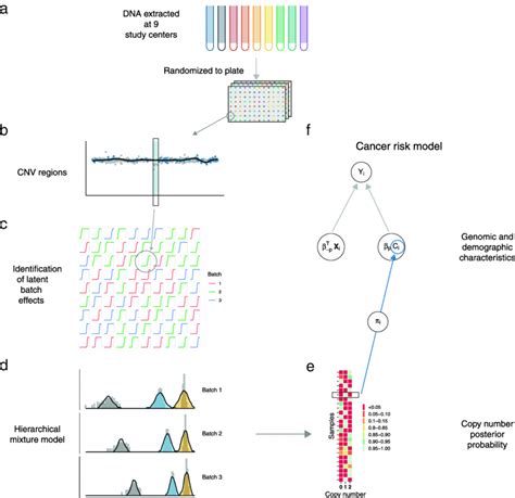Overview Of Sample Processing Estimation Of Batch Effects And Copy
