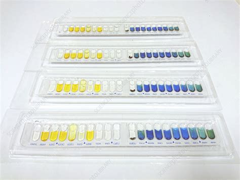 Bacteria Identification Kits Stock Image F0323278 Science Photo