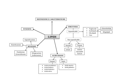 Mappa Concettuale Dei Lipidi Docsity