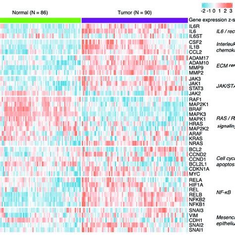 Deregulation Of Il 6 Signalling And Its Downstream Targets In Hnscc