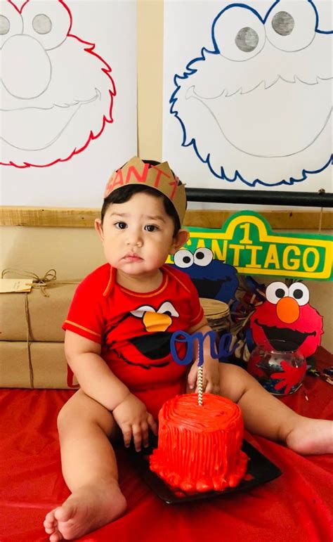 Red Elmo Smash Cake Elmo Smash Cake Monster First Birthday Elmo And Cookie Monster
