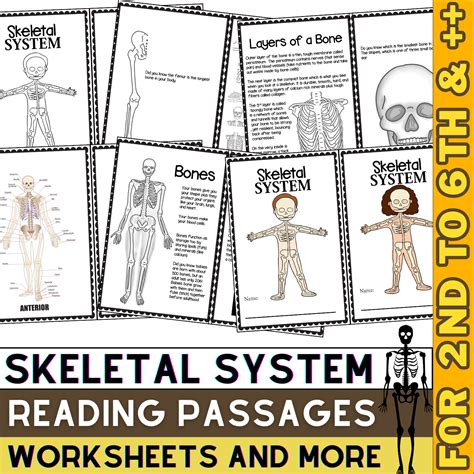 Skeletal System Activities Passages And Worksheets Skeleton Unit