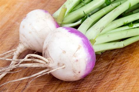 The Ultimate Radish Growing Guide From Seed To Harvest
