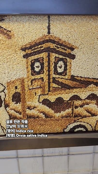 시계탑 베트남 안남미 安南米 쌀로만든 Youtube