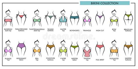 Woman Bikini Types Collection Vector Icons Of Fashion Lingerie Or Swimsuit Stock Vector