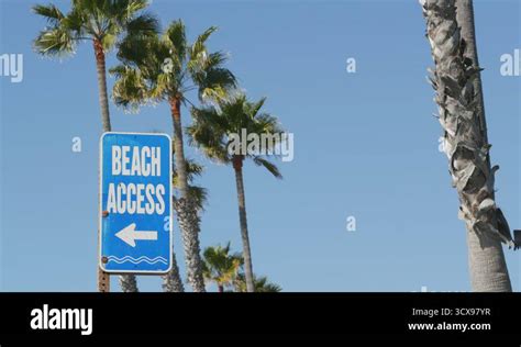 Beach Sign And Palms In Sunny California Usa Palm Trees And Seaside
