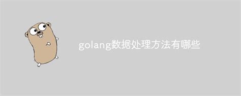 Golang資料處理方法有哪些golang有哪些資料處理方法 Golang Php中文網 Golang資料處理方法有哪些golang有哪些資料處理方法 Golang Php中文網