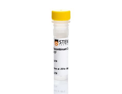 Human Recombinant Egf Acf Stemcell