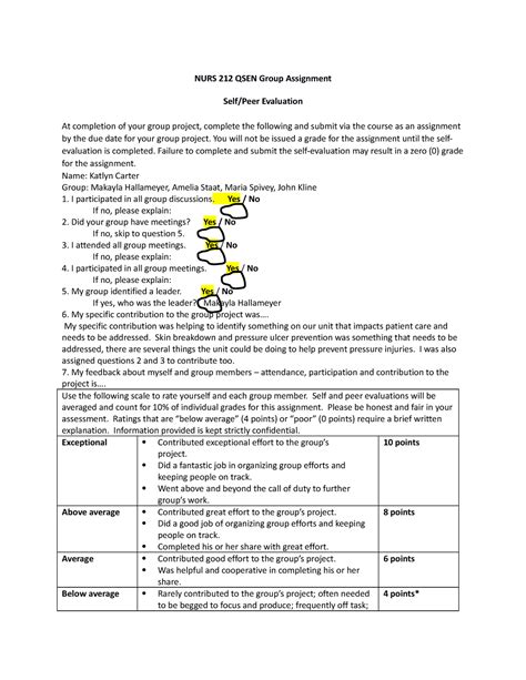 N212 Qsen Group Assignment Self Peer Evaluation Nurs 212 Studocu