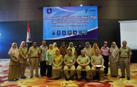 E Ppgbm Pemenuhan Informasi Dan Intervensi Status Gizi