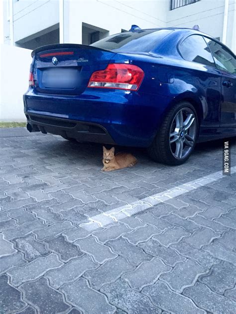 Bmw The Ultimate Pussy Magnet 9gag