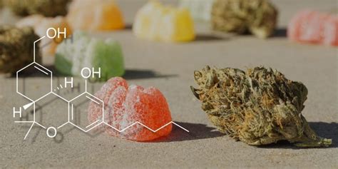 11 Hydroxy Thc Explained How Edibles Affect Your Body And Mind