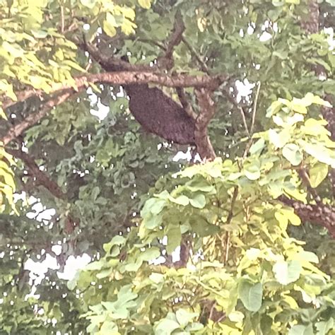 Sharyn Davis Betreedcam • Instagram Photos And Videos