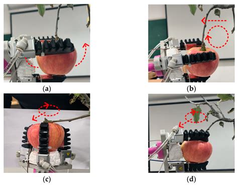 Agriculture Free Full Text A New Picking Pattern Of A Flexible Three Fingered End Effector