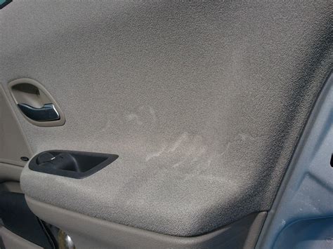 Ma Laguna Prend Leau P0