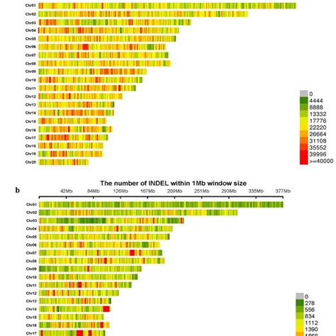 The Indels Distribution On 20 Chromosomes 179 Download Scientific Diagram