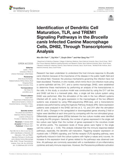Pdf Identification Of Dendritic Cell Maturation Toll Like Receptors