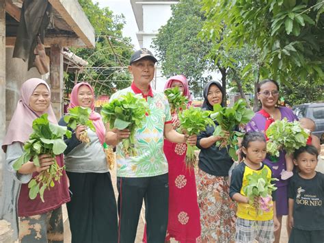 Kelurahan Rawa Terate