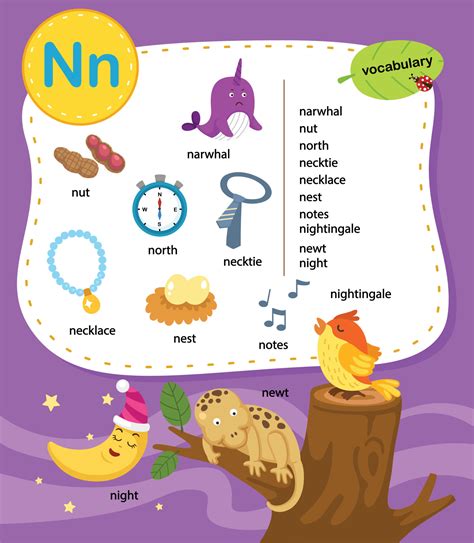 Alphabet Letter N Education Vocabulary Illustration Vector 9389394