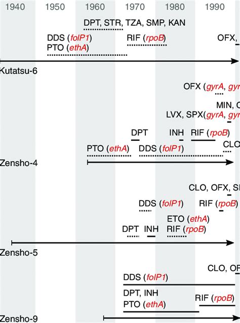 Timeline Of The Leprosy Treatment And Emergence Of Drug Resistance In