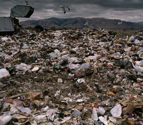 Point Source And Nonpoint Sources Of Pollution