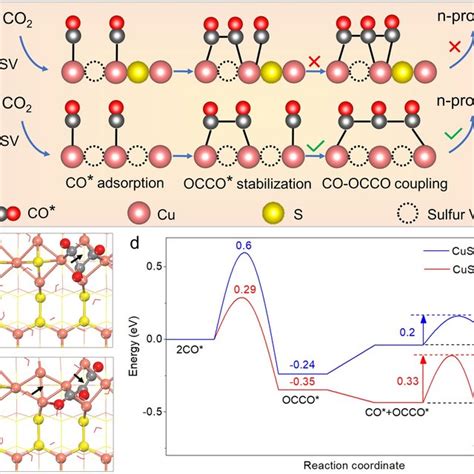 Electronic And Fine Structural Characterizations A Xps Spectra Of Cus Download Scientific