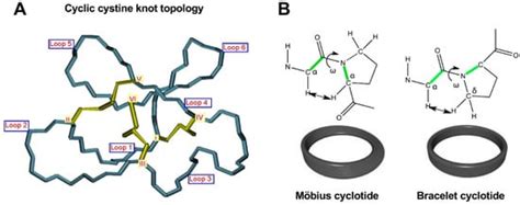Cyclotide Scaffold For Targeting Biomolecular Interactions