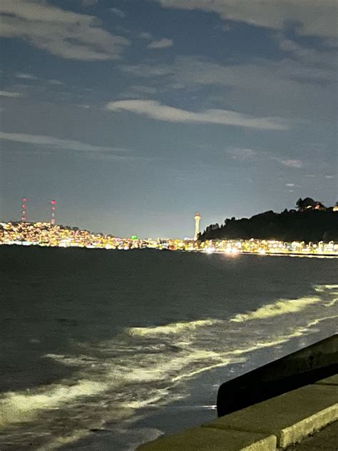 Seattle Night Elda Rodriguez