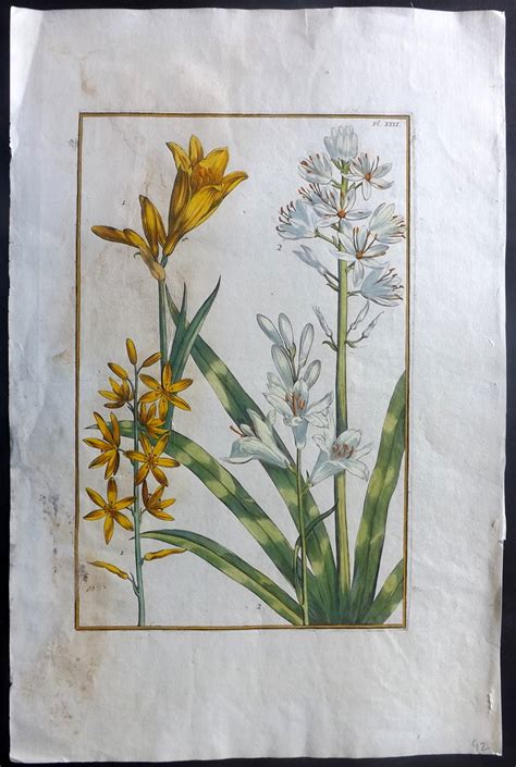 Daniel Rabel Artwork For Sale At Online Auction Daniel Rabel Biography And Info