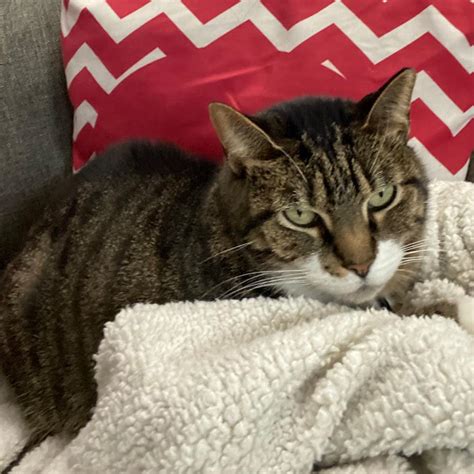 Keep Your Bromeliads Alive Light Water And Care Instructions