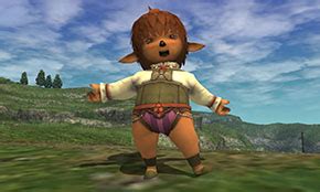 ピンクサブリガff11用語辞典