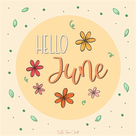 Rusticfarmchick Etsy Hello June Planner Stickers Basic Planner
