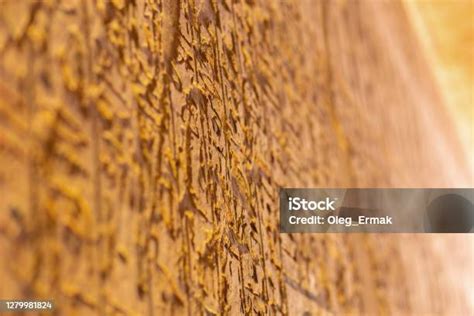 Hieroglif Mesir Kuno Relief Ukiran Batu Mesir Bersejarah Foto Stok Unduh Gambar Sekarang Istock