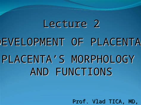Ppt Lecture 2 Development Of Placenta Placentas Morphology And