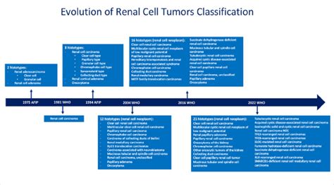 Flow Diagram Showing The Evolution Of The Classification Of Renal Cell