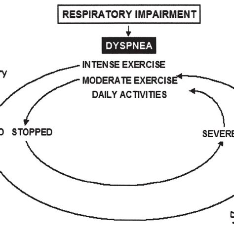 Dyspnea Spiral Leading To Dyspnea Worsening Irrespective Of The