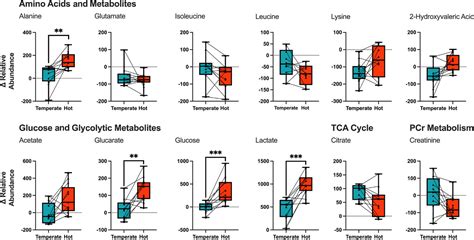 Acute Heat Stress Amplifies Exercise‐induced Metabolomic Perturbations