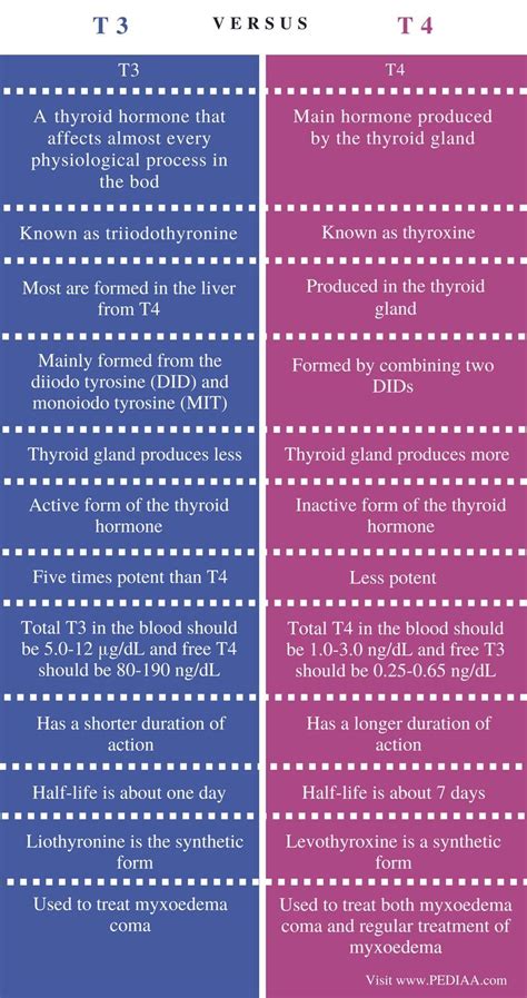 Difference Between T3 And T4 Active Vs Precursor Hormone